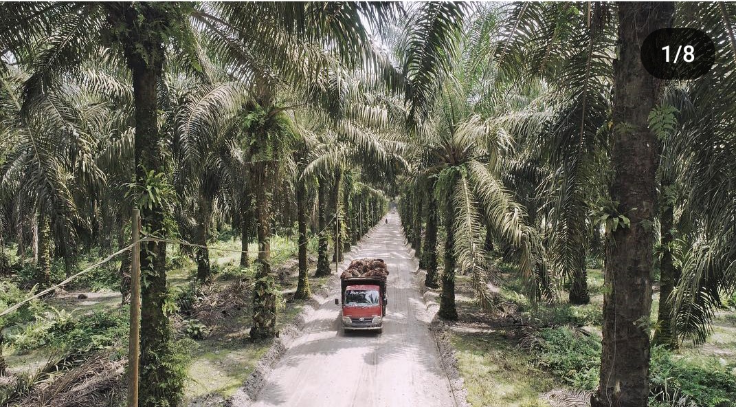 PT Johan Sentosa dan ketimpangang sosial , sebuah potret ketidakadilan ...